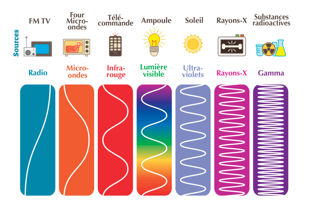 Abeilles en Liberté - L’abeille est-elle électrosensible ? (Partie 2)